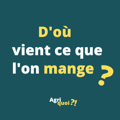 D'où vient ce que l'on mange ? | Agriquoi ?! - L'agriculture en questions