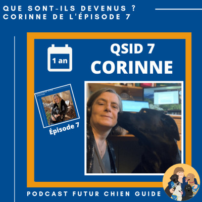 Futur Chien Guide | 🦮QSID 7 - Des nouvelles de Corinne de l'épisode 7 ...