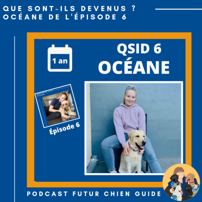 Futur Chien Guide | 🦮QSID 6 - Des nouvelles d'Océane de l'épisode 6 | Ausha