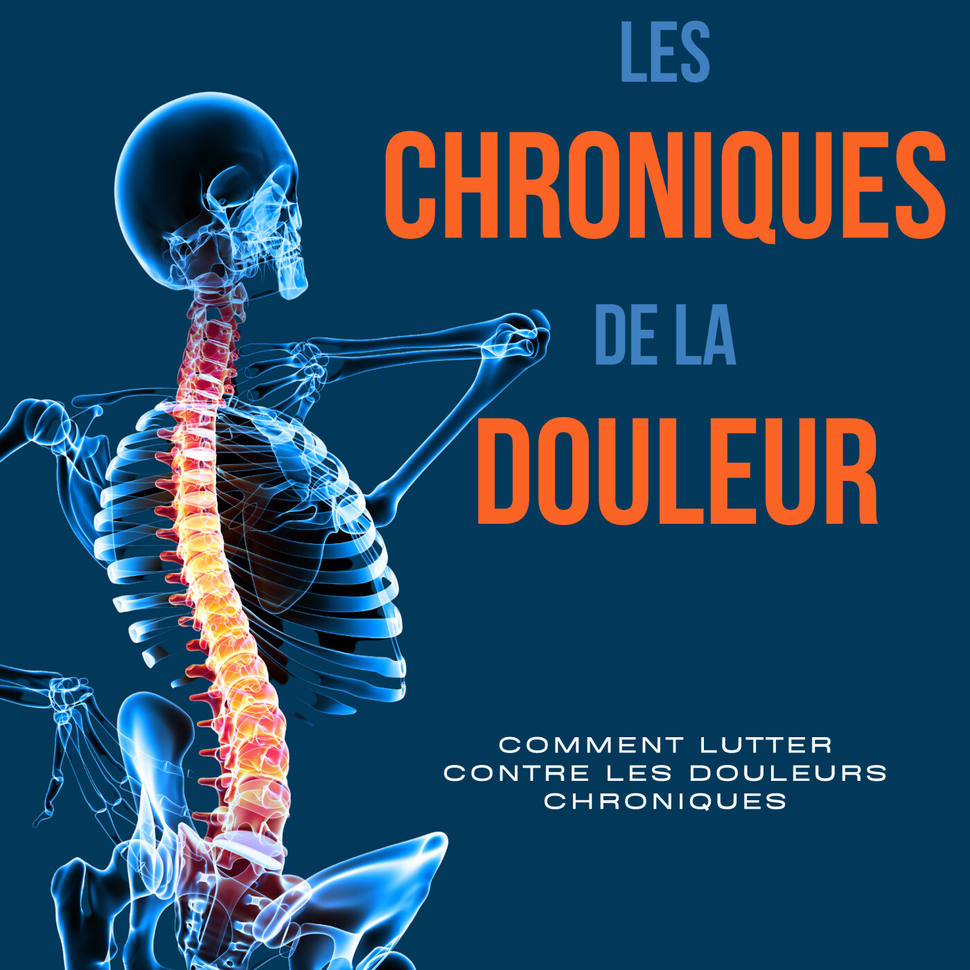 Les chroniques de la douleur - présentation – Les chroniques de la ...