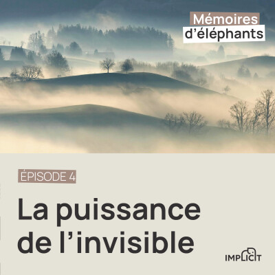 Mémoires d'éléphants | #4 - La puissance de l’invisible est ...